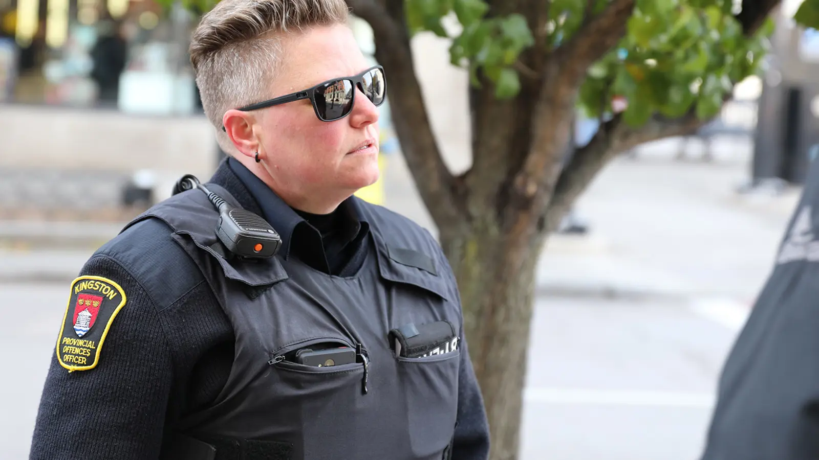 Bylaw Enforcement | City of Kingston