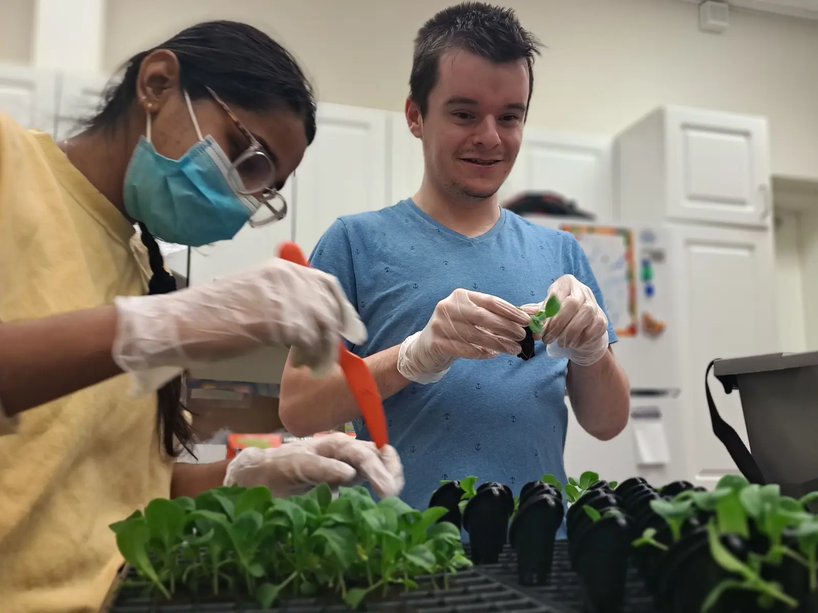 Kingston Community Climate Action Fund | City of Kingston