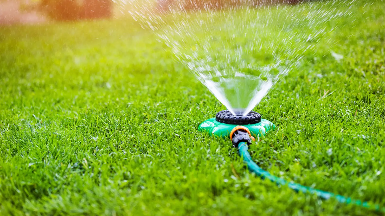 Commonly Requested Bylaws | City of Kingston